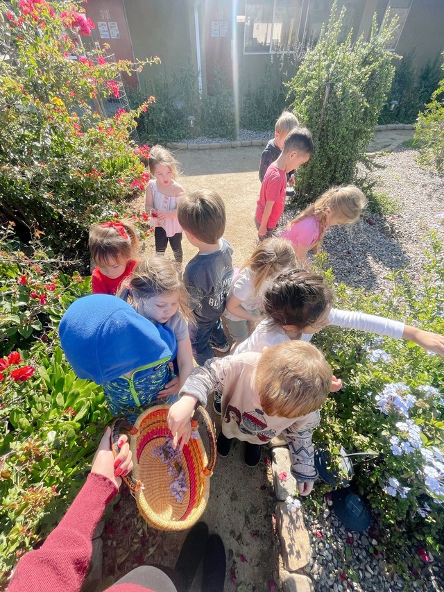 Top-Rated Early Childhood Care at Little Pathfinders, Ramona